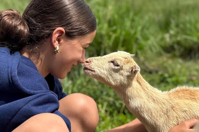 Guided UTV Ride-Along Tour on the Big Island - Key Points