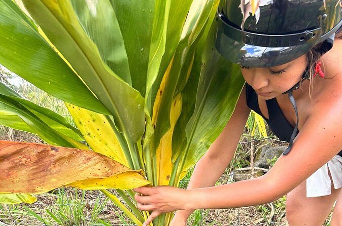 Guided UTV Ride-Along Tour on the Big Island - FAQ