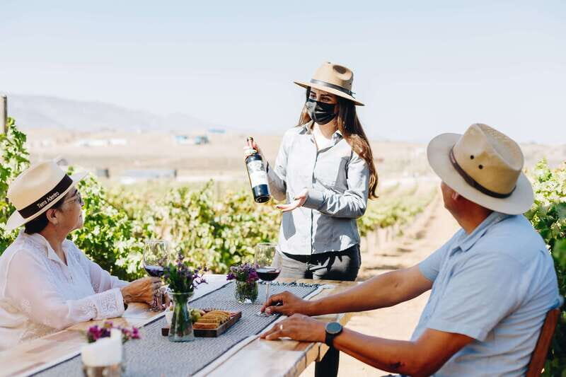 Guided Vineyard Tour with Wine Tasting at Rondo del Valle - FAQ