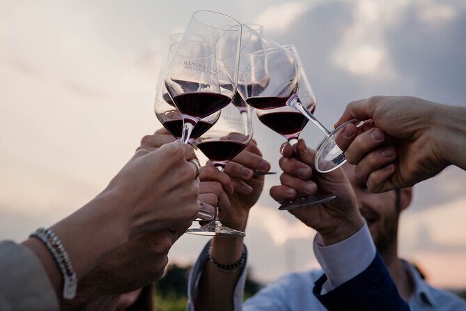 Guided Visit and Wine Tasting at the Winery in Veneto - Who Would Love This Experience?