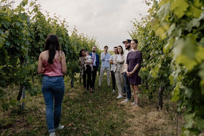 Guided Visit and Wine Tasting at the Winery in Veneto - A Few Considerations
