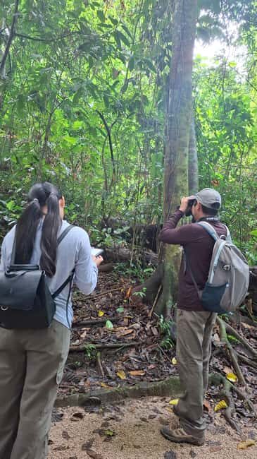 Guided visit in the Palenque jungle (Palenque National Park) - Key Points