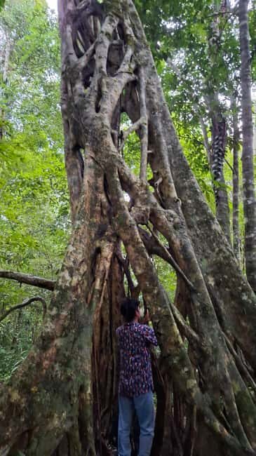 Guided visit in the Palenque jungle (Palenque National Park) - Considering the Cost and What You’re Getting