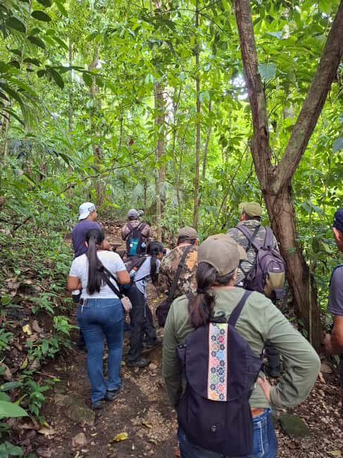 Guided visit in the Palenque jungle (Palenque National Park) - FAQ