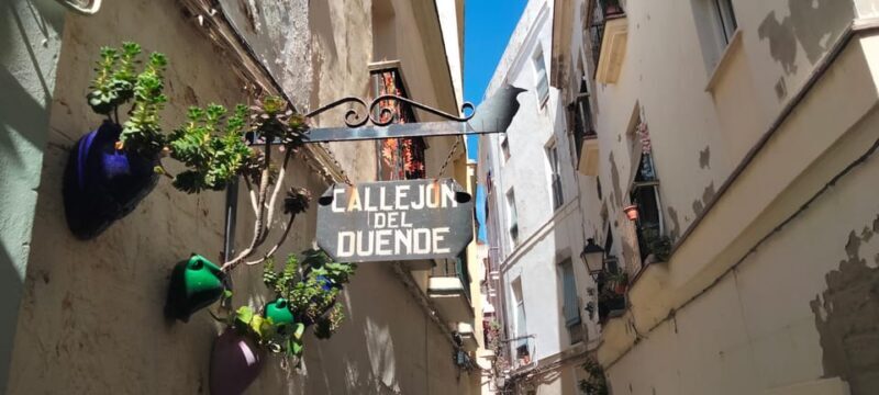 Guided visit on foot through Cádiz: stories from the hand of a local guide - Who Will Love This Tour?