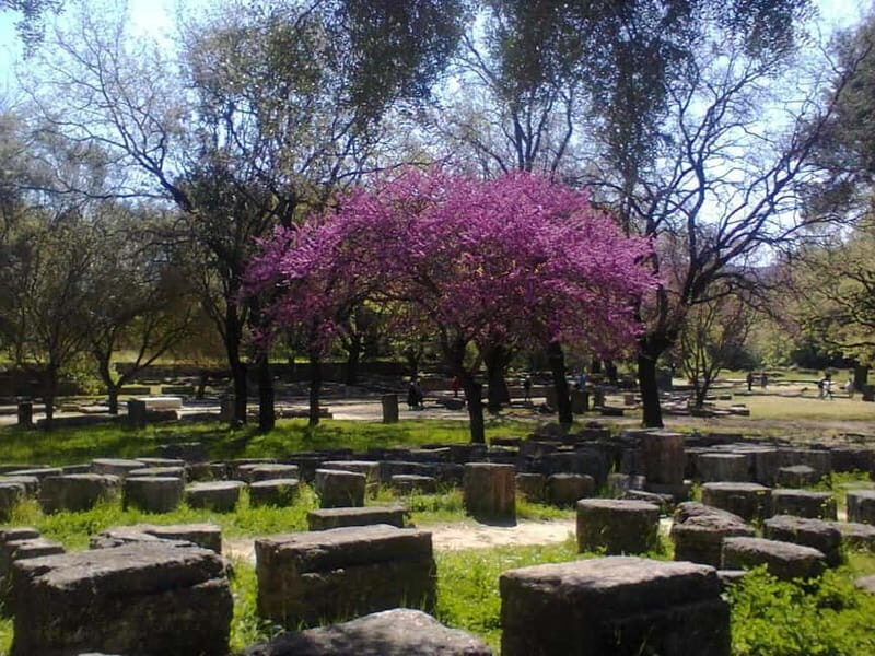 Guided visit to ancient Olympia with an Italian archaeologist tour guide - Key Points