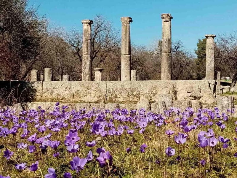 Guided visit to ancient Olympia with an Italian archaeologist tour guide - Who Should Consider This Tour?