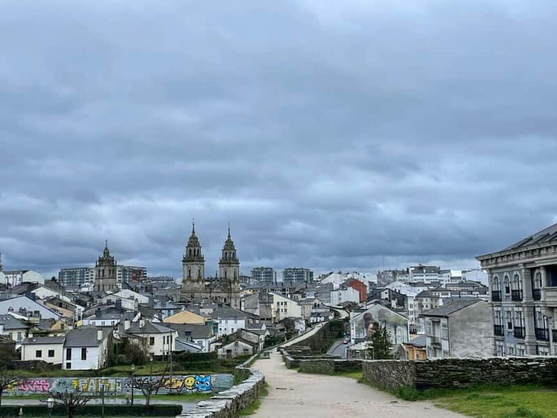Guided visit to the Cathedral of Lugo with entrance tickets - Introduction