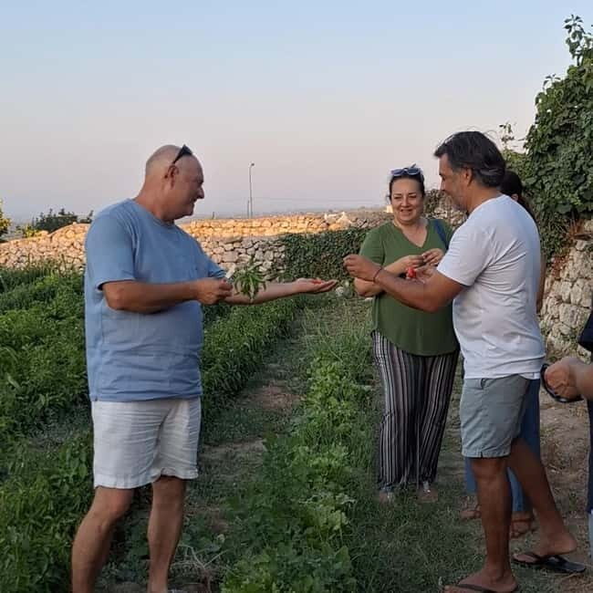 Guided visit to the Medieval Gardens of Ostuni - Key Points