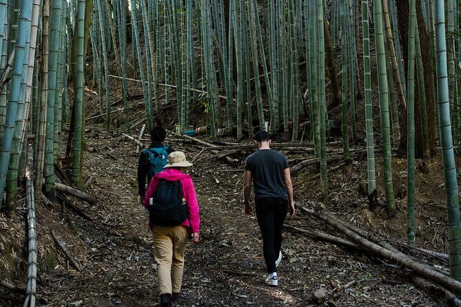 Guided Walking Ohenro Pilgrimage Experience in Dogo Hot Spring - Who Will Love This Tour?