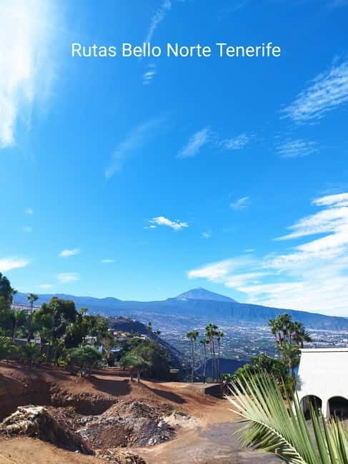 Guided walking tour in La Orotava 1:30 min, Tenerife - Our The Sum Up: Who Will Love This Tour?