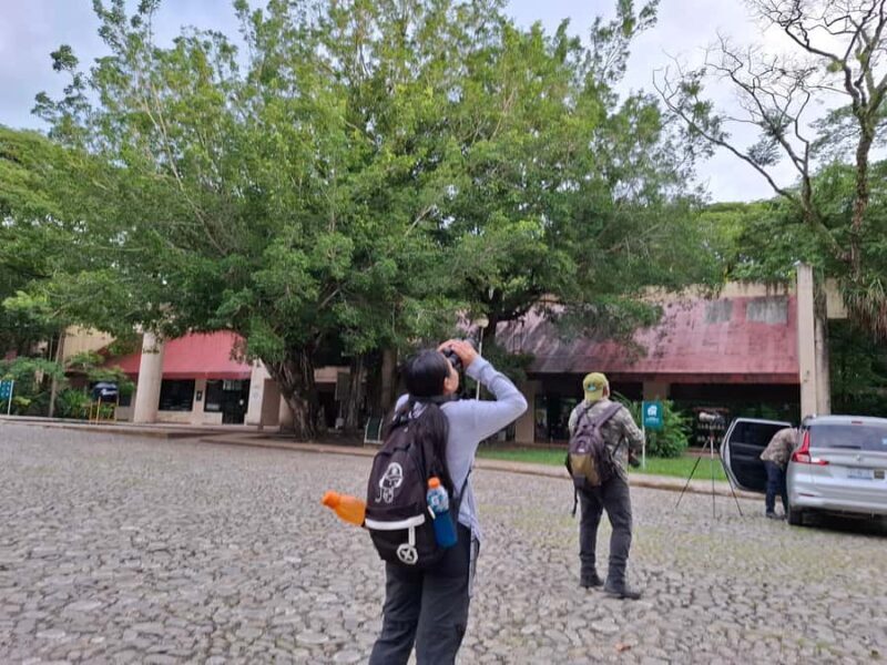 Guided walking tour in the Palenque jungle (Palenque National Park) - The Small Group Advantage