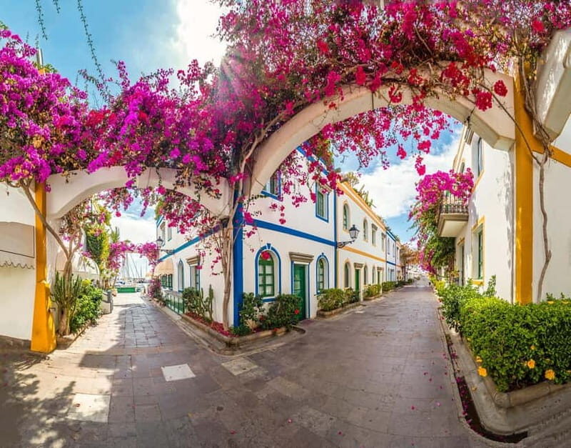 Guided walking tour of Puerto de Mogán - The Highlights in Detail