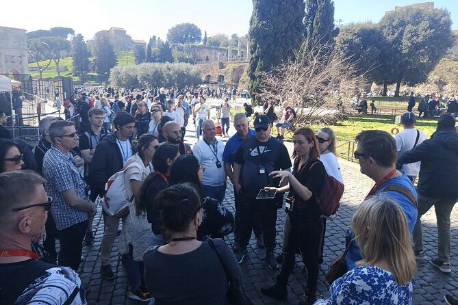 Guided Walking Tour of the Colosseum - The Sum Up: Who Will Benefit Most