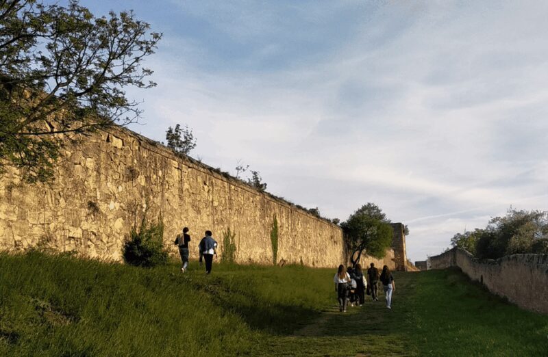 Guided Walking Tour on Verona Hillside - Who Will Appreciate This Tour?