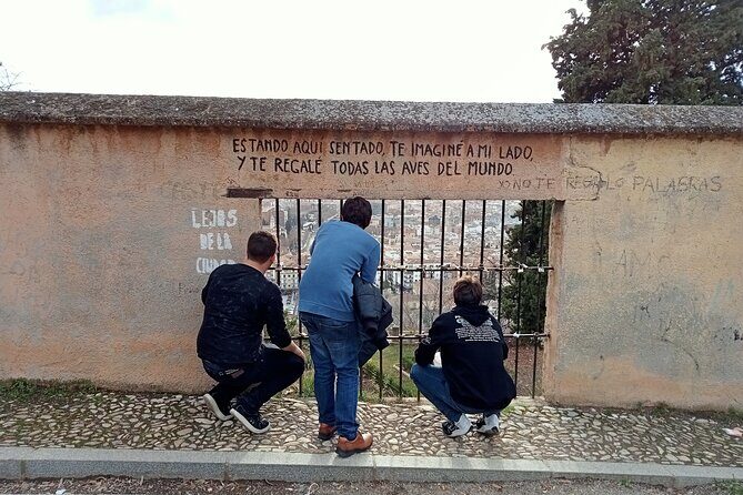 Guided Walking Tour with Panoramic Views and Terraces of Granada - Why You’ll Love This Tour