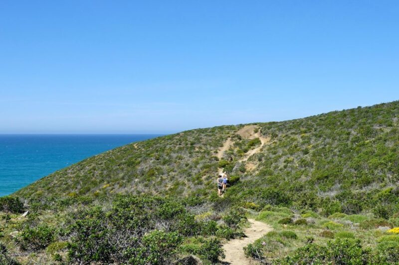 Guided Walk+Picnic: Western Algarve´s Wild Beauty - Key Points