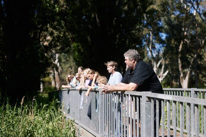 Guided Warriparinga Cultural and Historical Tour - Final Thoughts: Why This Tour Is Worth Your Time