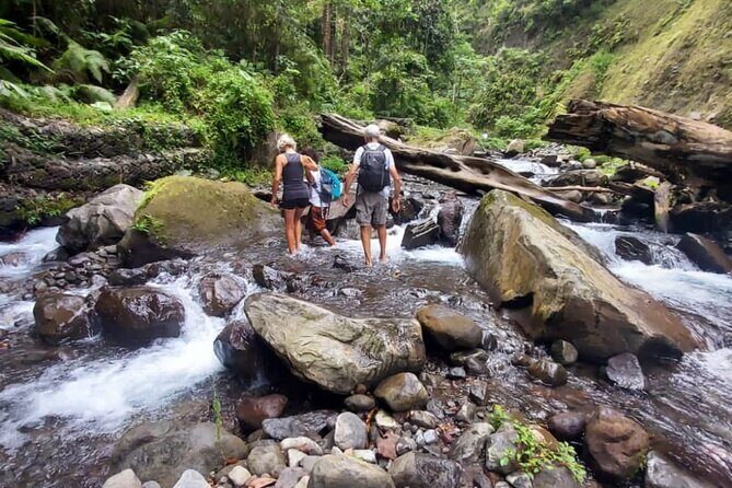 Guided Waterfall Adventure: Sendang Gile & Tiu Kelep North Lombok - Exploring the Itinerary