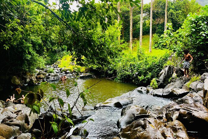 Guided Waterfall and Jungle Hiking Tour - A Deep Dive into the Experience