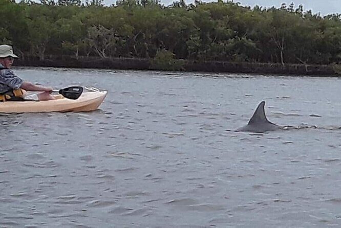 Guided Wildlife Eco Kayak Tour in New Smyrna Beach - The Atmosphere and Who Will Love It