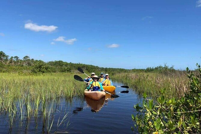 Guided Wildlife Eco Kayak Tour in New Smyrna Beach - The Sum Up