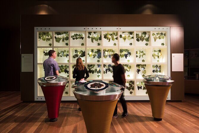 Guided Wine Journey and Discovery Tasting Tour in Adelaide - What the Tour Offers: A Deep Dive