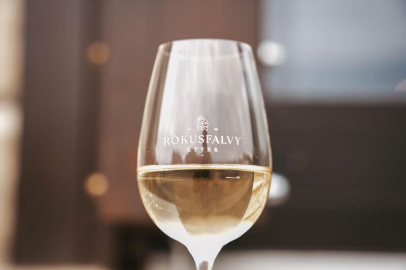 Guided wine tasting at Rókusfalvy Estate - Cellar tour and behind-the-scenes access