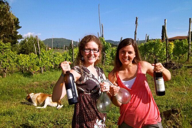 Guided Wine Tasting Experience in a Roman Vineyard - An Introduction to the Vineyard Experience
