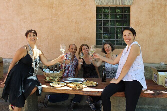 Guided Wine Tasting Experience in a Roman Vineyard - Who Will Enjoy This Experience?