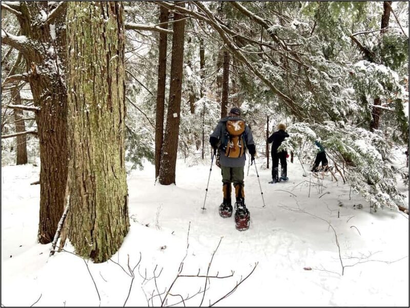 Guided Winter Snowshoe Adventure from Boston - What Makes This Snowshoe Adventure Stand Out