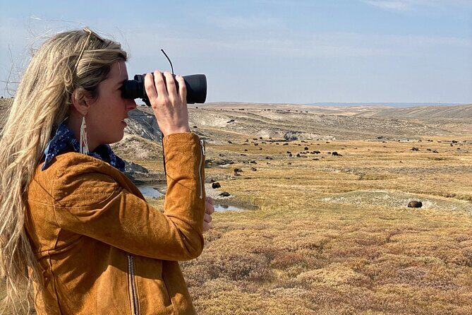 Guided Yellowstone National Park Trip - Key Points