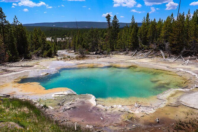 Guided Yellowstone National Park Trip - The Bottom Line: Who Will Benefit Most?