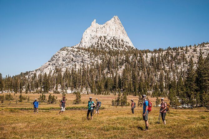 Guided Yosemite Hiking Excursion - Pricing and Value