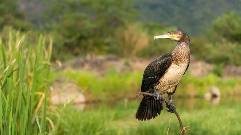 Guilin: 5-Day Off-the-Beaten-Path Tour with Transfers - How the Tour Starts: From Airport to the Natural Beauty of Longji
