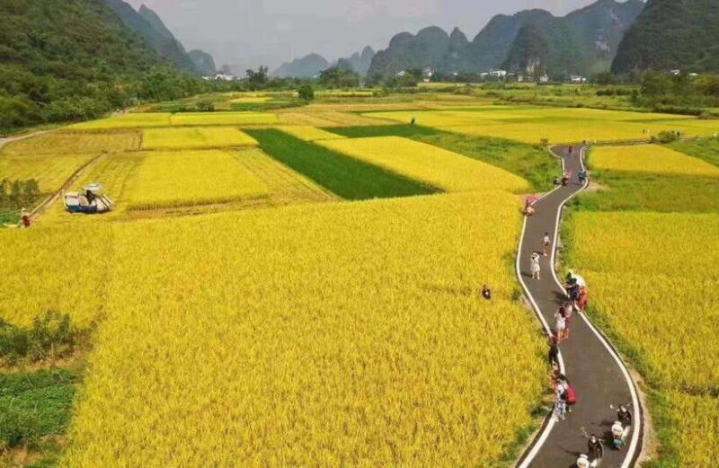 Guilin: 5-Day Off-the-Beaten-Path Tour with Transfers - Day 5: Farewell and Return