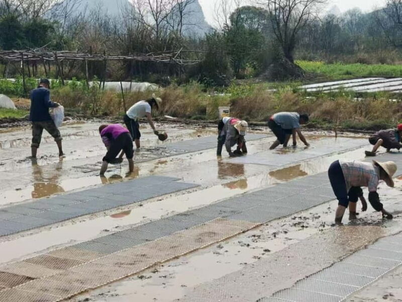 Guilin: Countryside Cycling 1-day Tour with Cooking Class - Key Points