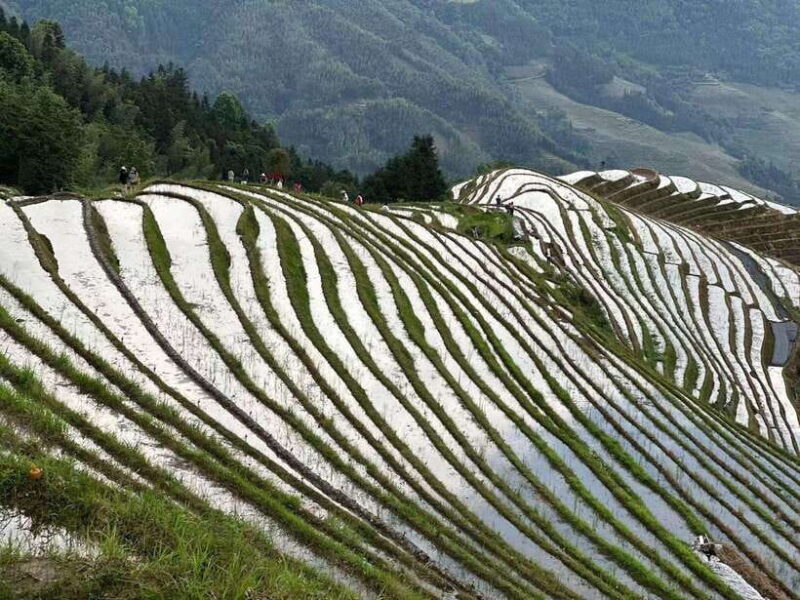 Guilin: Day tour of Longji Rice Terraces and Yangshuo - Transportation and Timing