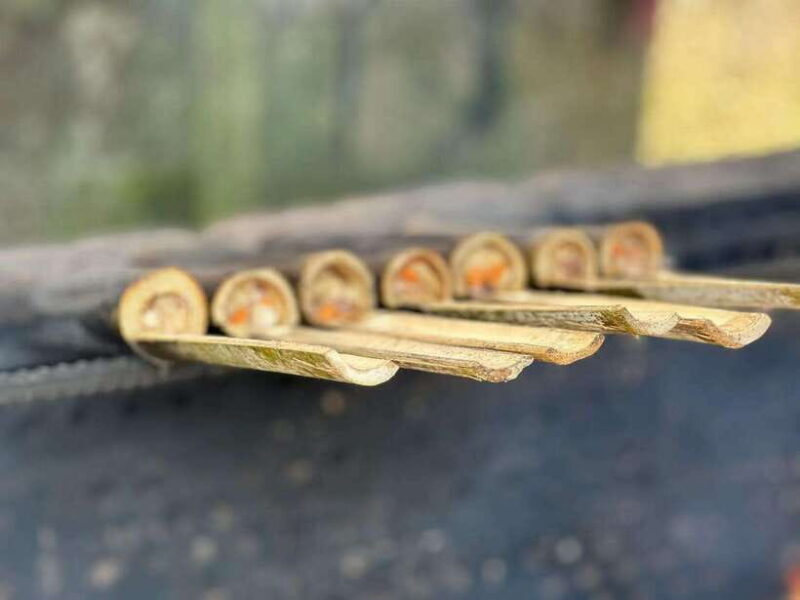 Guilin: Day tour of Longji Rice Terraces and Yangshuo - The Sum Up