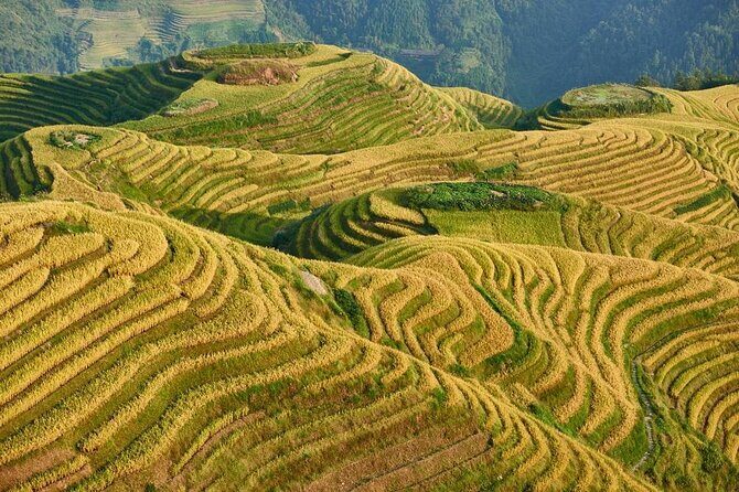 Guilin: Day tour of Longji Rice Terraces and Yangshuo - What’s Included and Whats Not?
