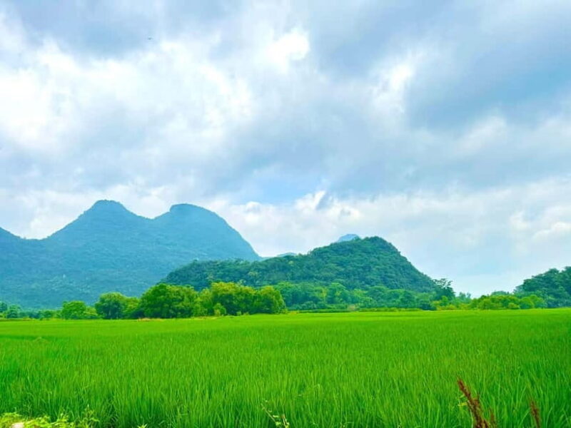 Guilin: Half Day Yanzi Cave Exploration Tour - Why Choose the Yanzi Cave Exploration Tour?