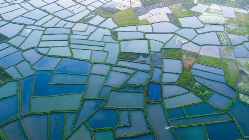 Guilin: Huixian Wetland Boat Ride & Glass Fields Tour - Key Points