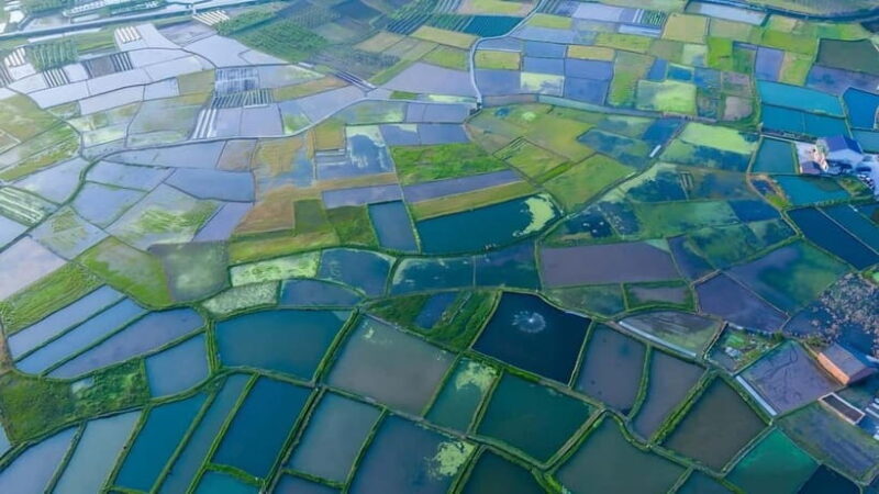 Guilin: Huixian Wetland Boat Ride & Glass Fields Tour - The Complete Picture: Why Choose This Tour?