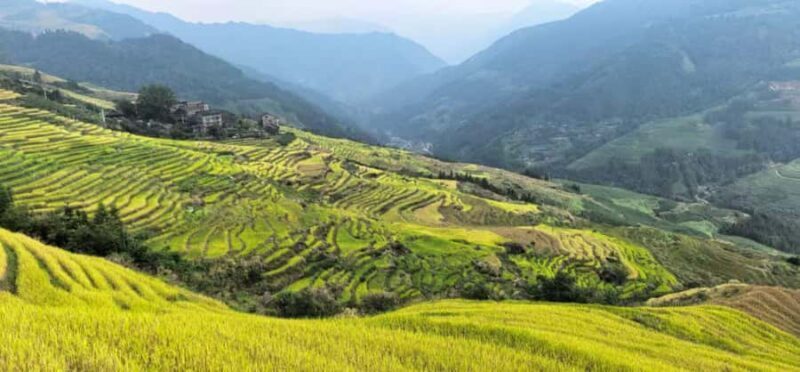 Guilin: In-Depth Longji Rice Terraces Day Trip with Lunch - Exploring the Longji Rice Terraces: An Authentic Journey