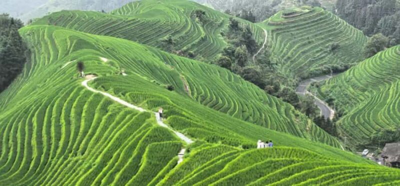 Guilin: In-Depth Longji Rice Terraces Day Trip with Lunch - Practical Tips for Travelers