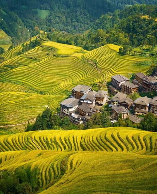 Guilin Longji: Rice Terrace with Oil-Tea Demo & Zhuang Lunch - Authenticity & Review Highlights
