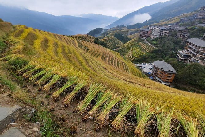 Guilin Longji Rice Terraces and Four Lakes Night Cruise Day Tour - Key Points