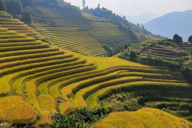 Guilin Longji Rice Terraces and Four Lakes Night Cruise Day Tour - Introduction: What Makes This Tour Stand Out