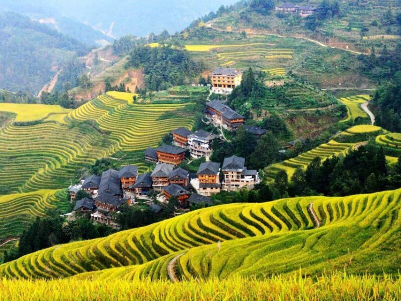 Guilin: Longji Rice Terraces& Long Hair Village Private Tour - A Closer Look at the Itinerary and Highlights