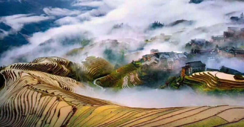 Guilin: Longji Rice Terraces& Long Hair Village Private Tour - What About the Price?
